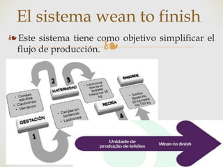 El sistema wean to finish | PPTX