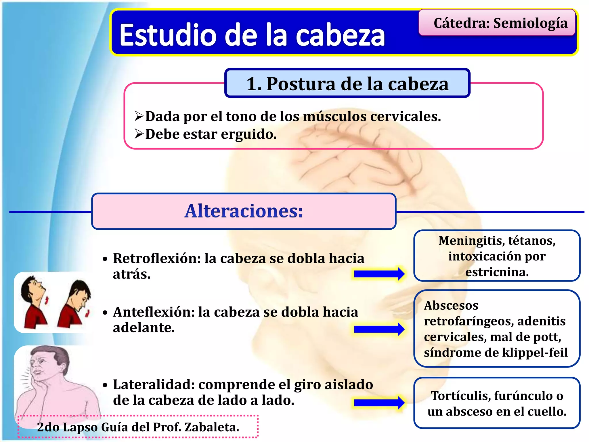 Patologias de cabeza | PPTX