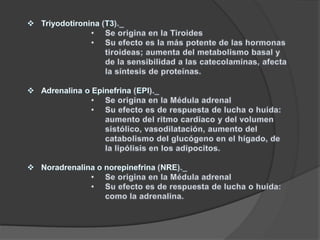 Las Hormonas | PPSX