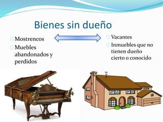 (Derecho) cosas y bienes | PPTX