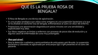 EXPO DE ROSA DE BENGALA TEST.pptx
