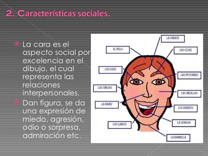 Test figura humana. Machover