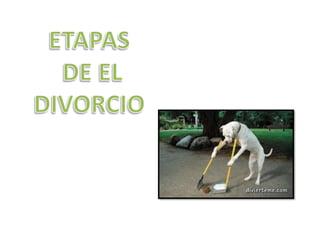 Etapas, tipos de divorcio | PPTX