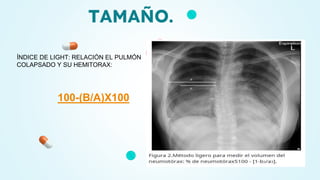 EXPO DOC PEDRIMSS.pptx