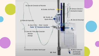Expo Drenaje ventricular y derivación ventriculoperitoneal.pdf