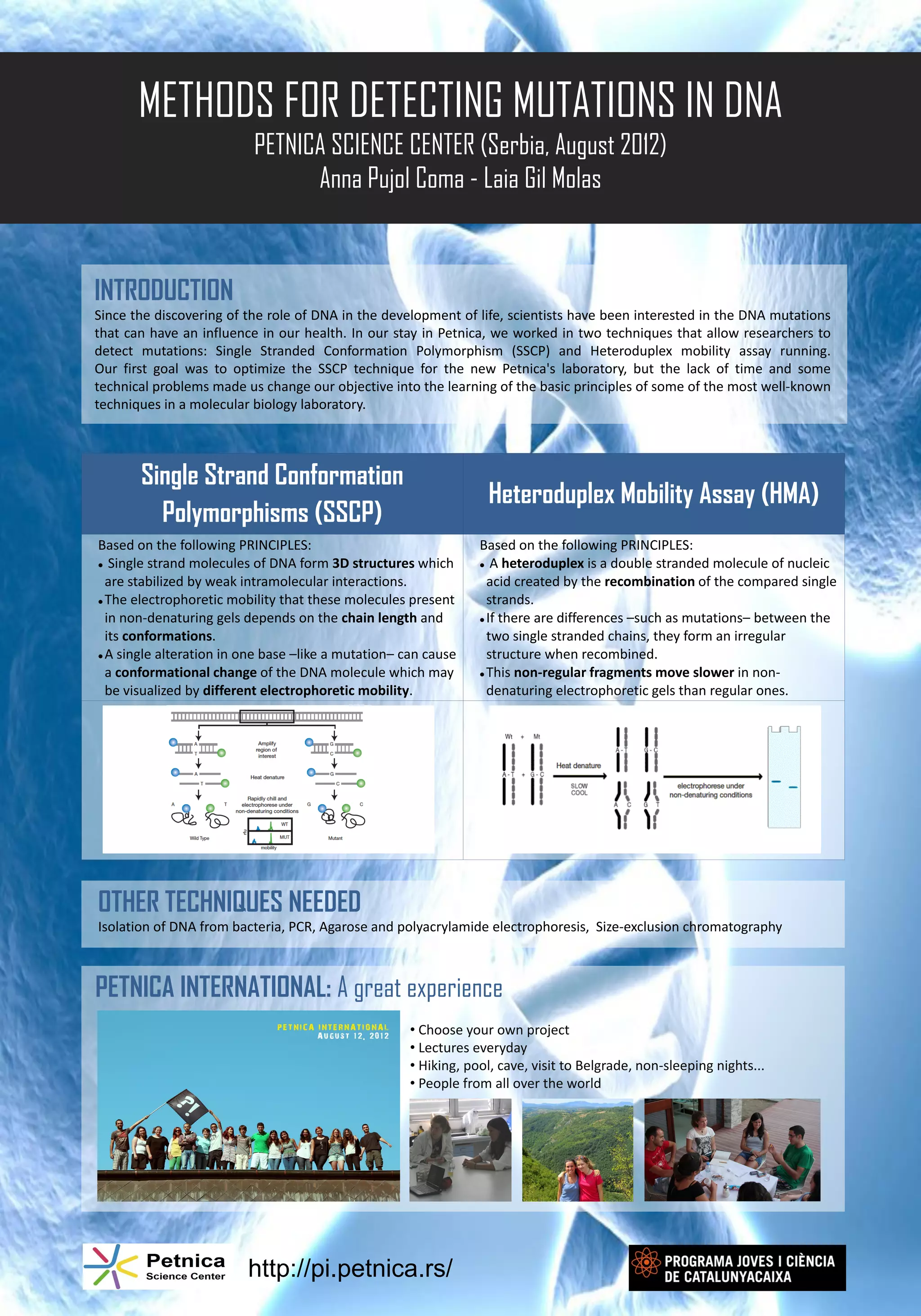 Methods for detecting mutations in DNA | PDF