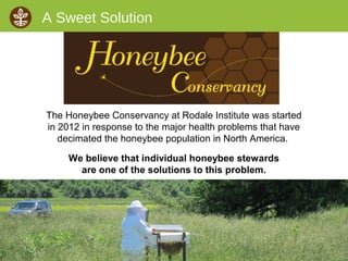 Share the Buzz | PPT | Agriculture | Industries