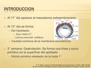 Expo embrio | PPTX