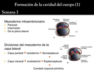 expoembrio-120827220610-phpapp01 (1).pdf