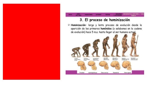 La importancia de la educación y etimología.