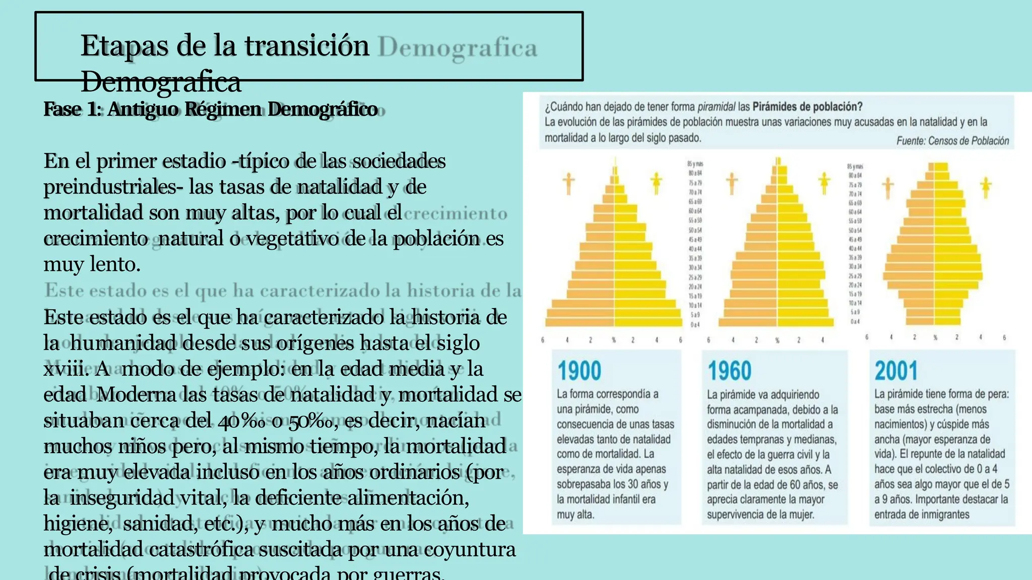 LA TRANSICION DEMOGRAFICA EN NUESTRO PAIS | PPT