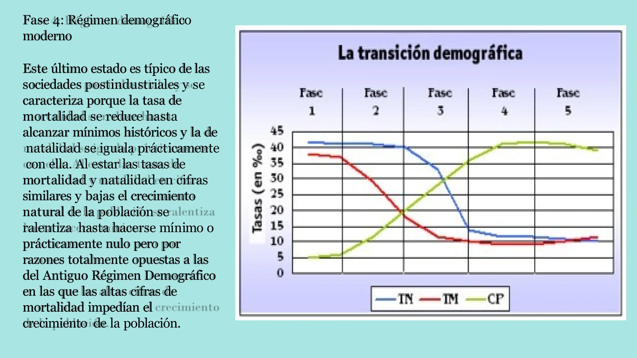 LA TRANSICION DEMOGRAFICA EN NUESTRO PAIS | PPT