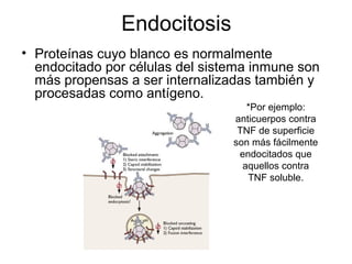Inmunogenicidad de Proteínas Terapéuticas (revisión) | PPT