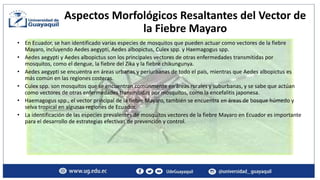 expo Fiebre Mayaro.pptx