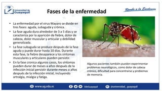 expo Fiebre Mayaro.pptx