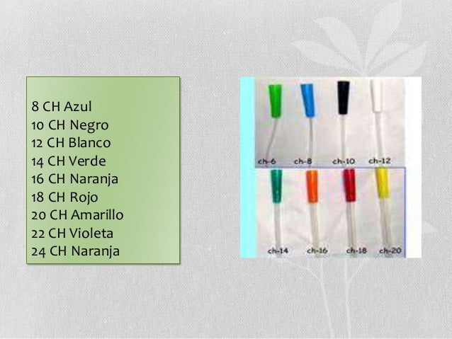 Sondaje vesical y talla vesical