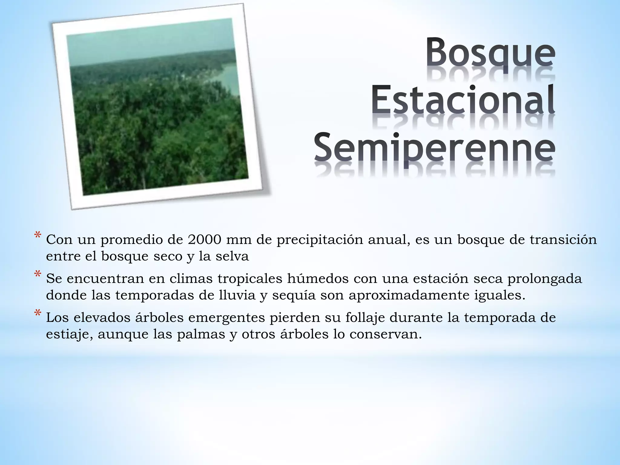 Biomas Mundiales: Bosques tropicales | PPT