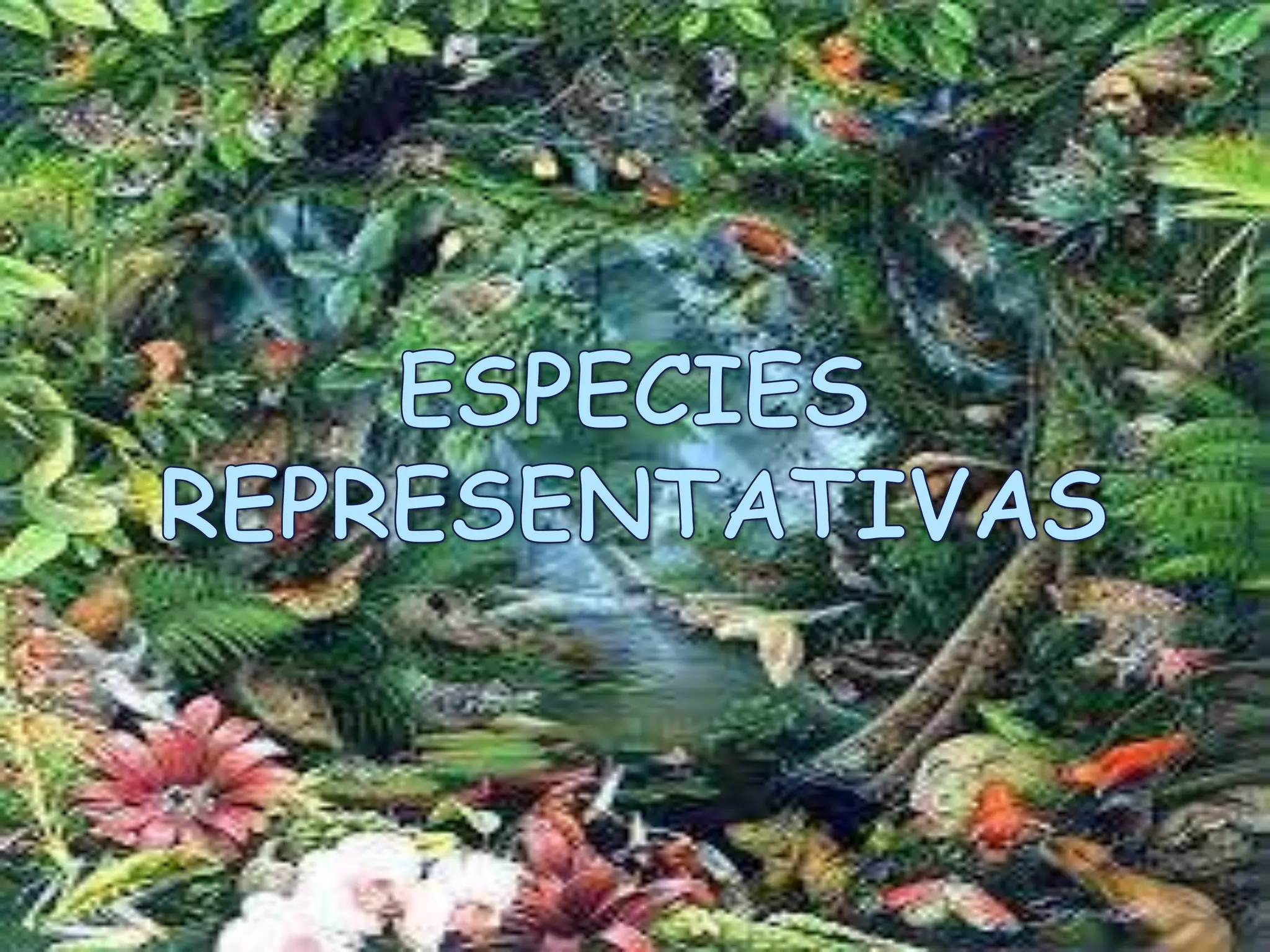 Biomas Mundiales: Bosques tropicales | PPT