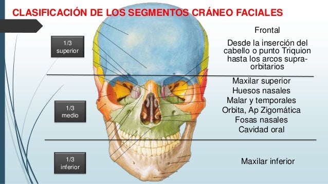 TRAUMATISMO CRANEOENCEFELICO - MACIZO FACIAL.