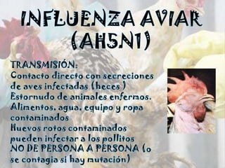 influenza aviar | PPTX