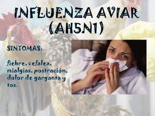 influenza aviar | PPTX