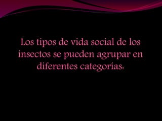 insectos sociales | PPTX