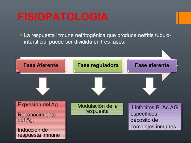 nefritis intersticial