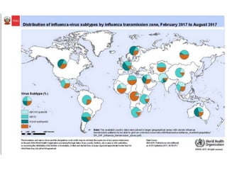 Situación Epidemiológica de las IRAG | PPTX