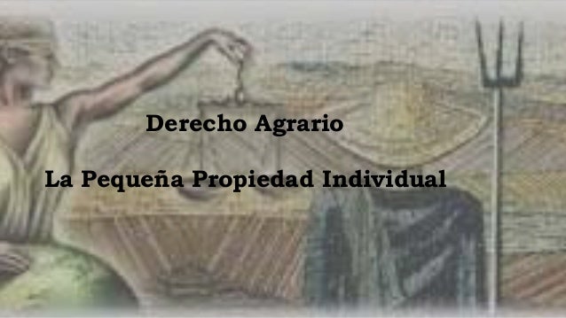 la pequeña propiedad