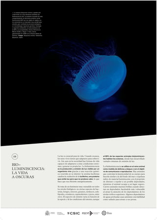 Un Universo de Luz | PDF