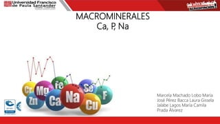 los macrominerales | PPTX