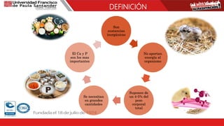los macrominerales | PPTX