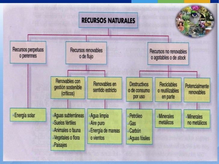 Recursos naturales renovables y no renovables