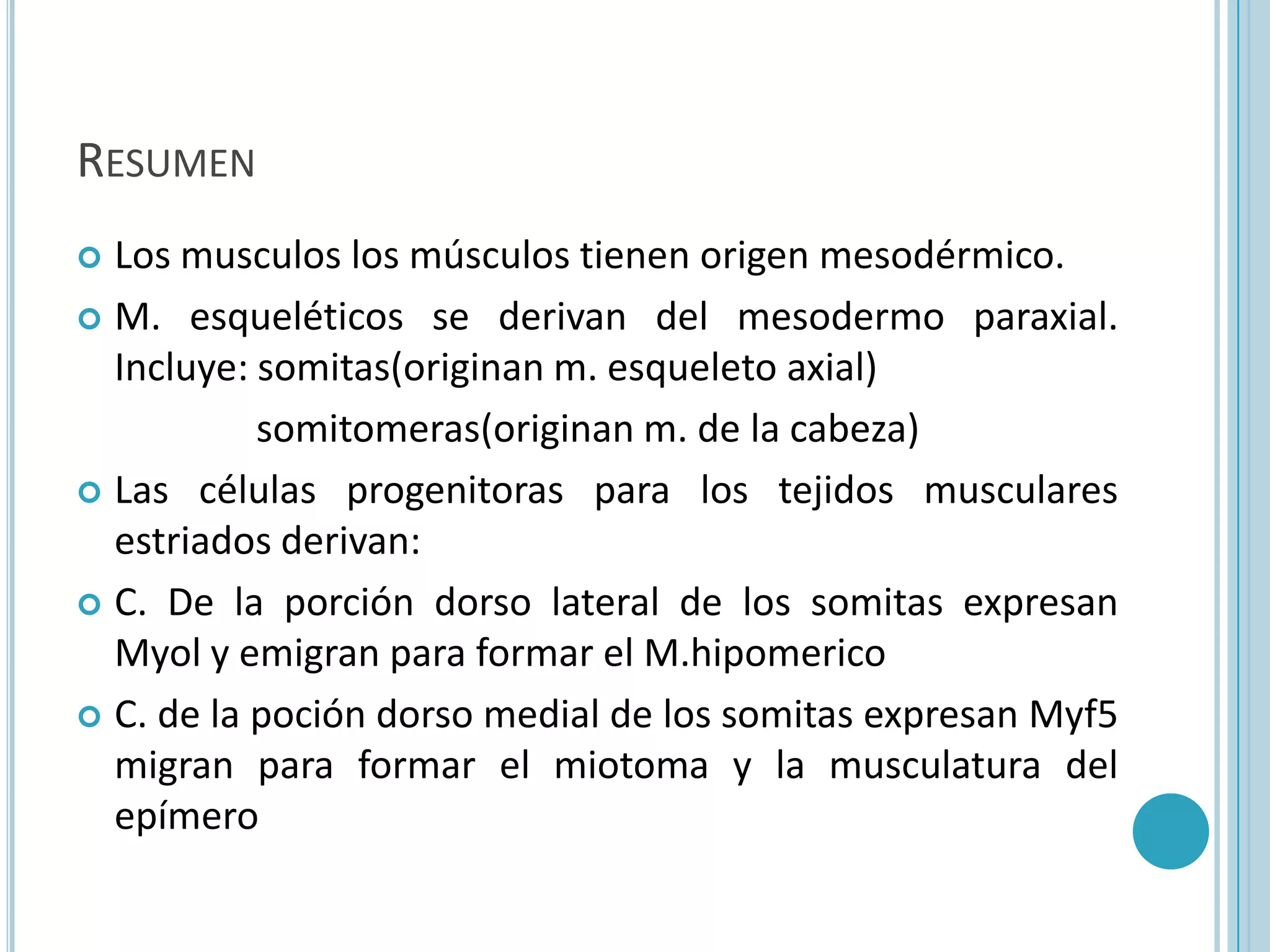 Desarrollo Muscular Embriologia | PPTX