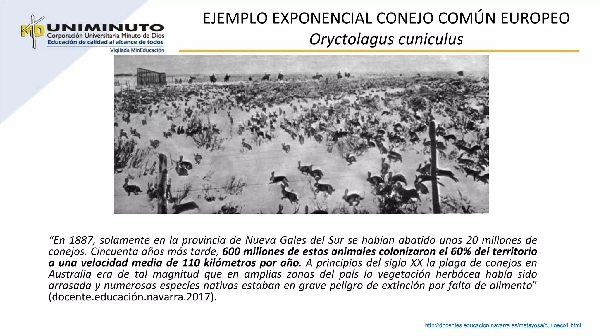 Modelo Exponencial | PPTX