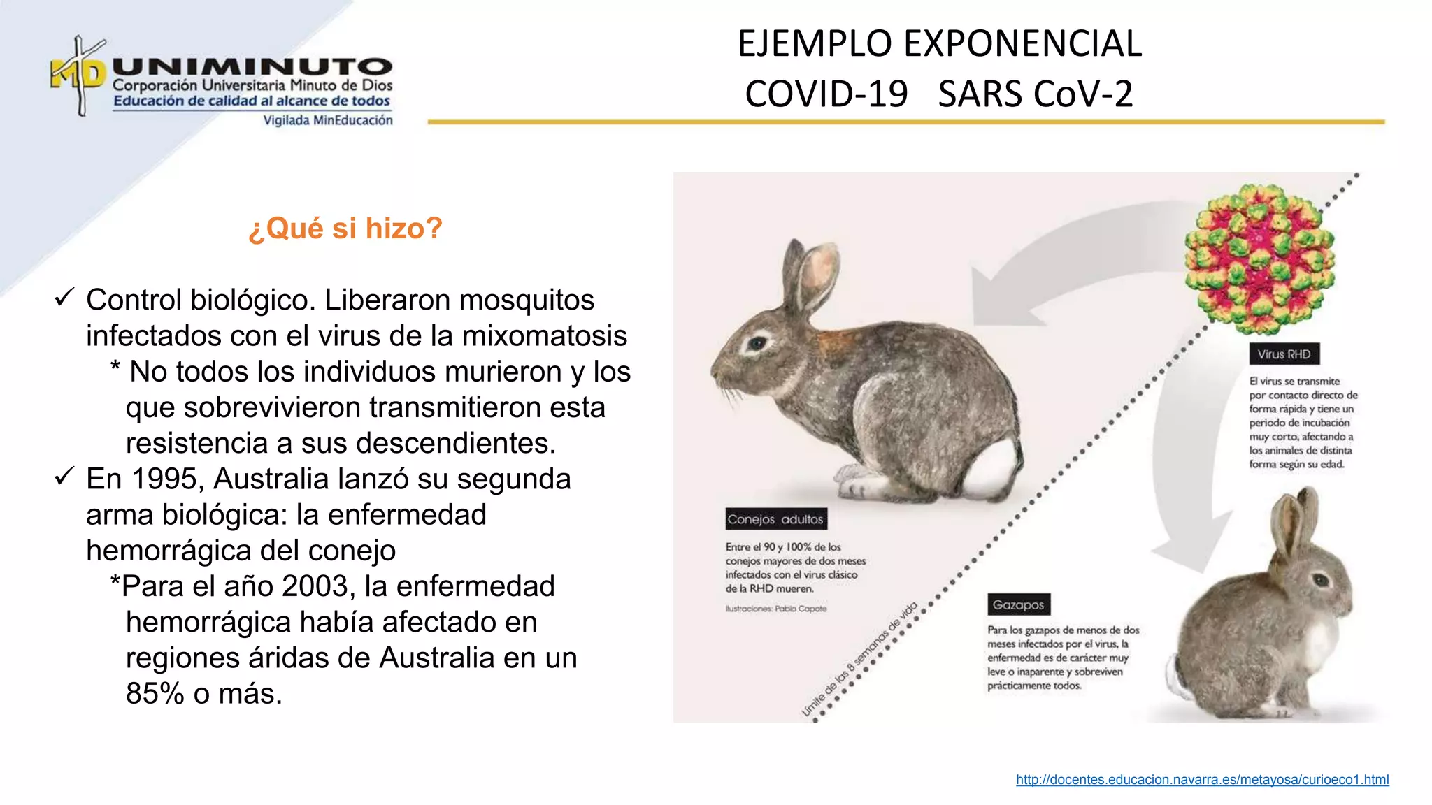 Modelo Exponencial | PPTX