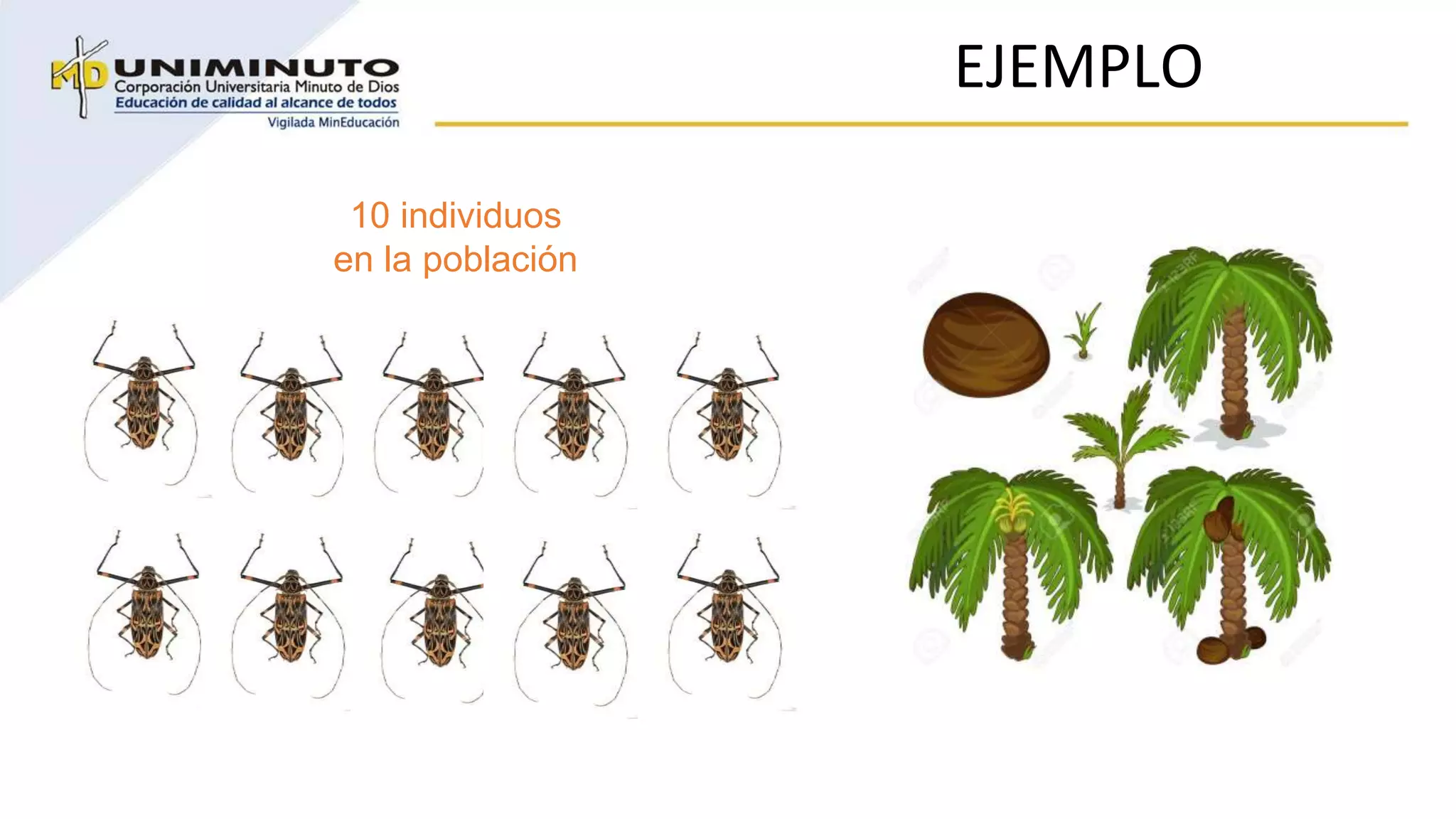 Modelo Exponencial | PPTX