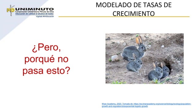 Modelo Exponencial | PPT