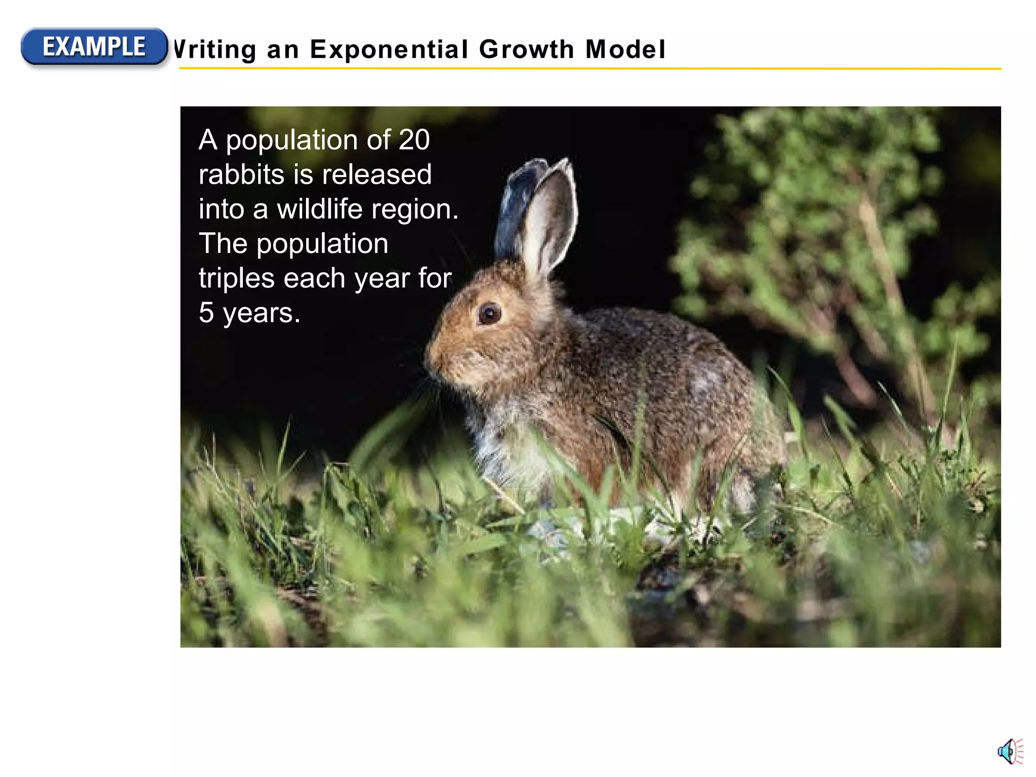 Exponential growth and decay | PPT