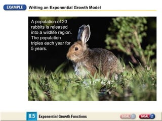 exponential_growth_and_decay_models_notes_ppt.ppt