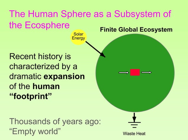 Growth in a Finite World - Sustainability and the Exponential Function ...