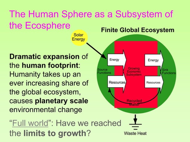 Growth in a Finite World - Sustainability and the Exponential Function ...