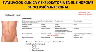 Obstruccion Intestinal | PDF