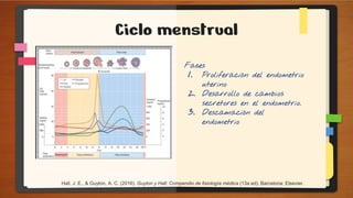 Ovario y ciclo menstrual (endocrinología) | PPTX