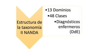 Proceso de atención de enfermería | PPTX