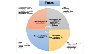 Proceso de atención de enfermería | PPTX