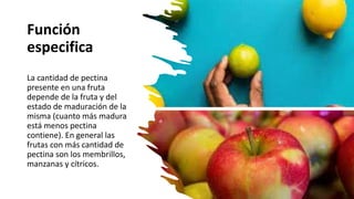 Expo pectina.pptx