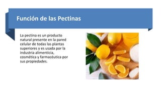 Expo pectina.pptx