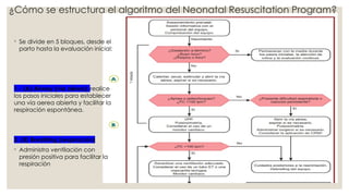 Fundamentos de la reanimación neonatal cap 1 | PPTX
