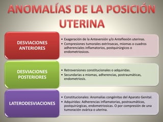 Prolapso Genital | PPTX